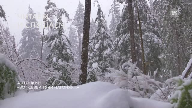 Возьмите на урок: А.С. Пушкин «Вот север, тучи нагоняя...»