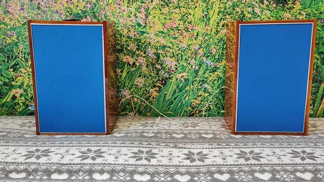 10МАС-1М Bluetooth Stereo