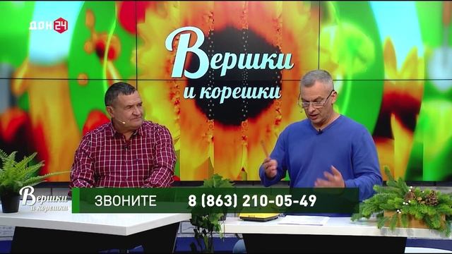 Вершки и корешки 11.12.2025 - Готовим виноград к зиме