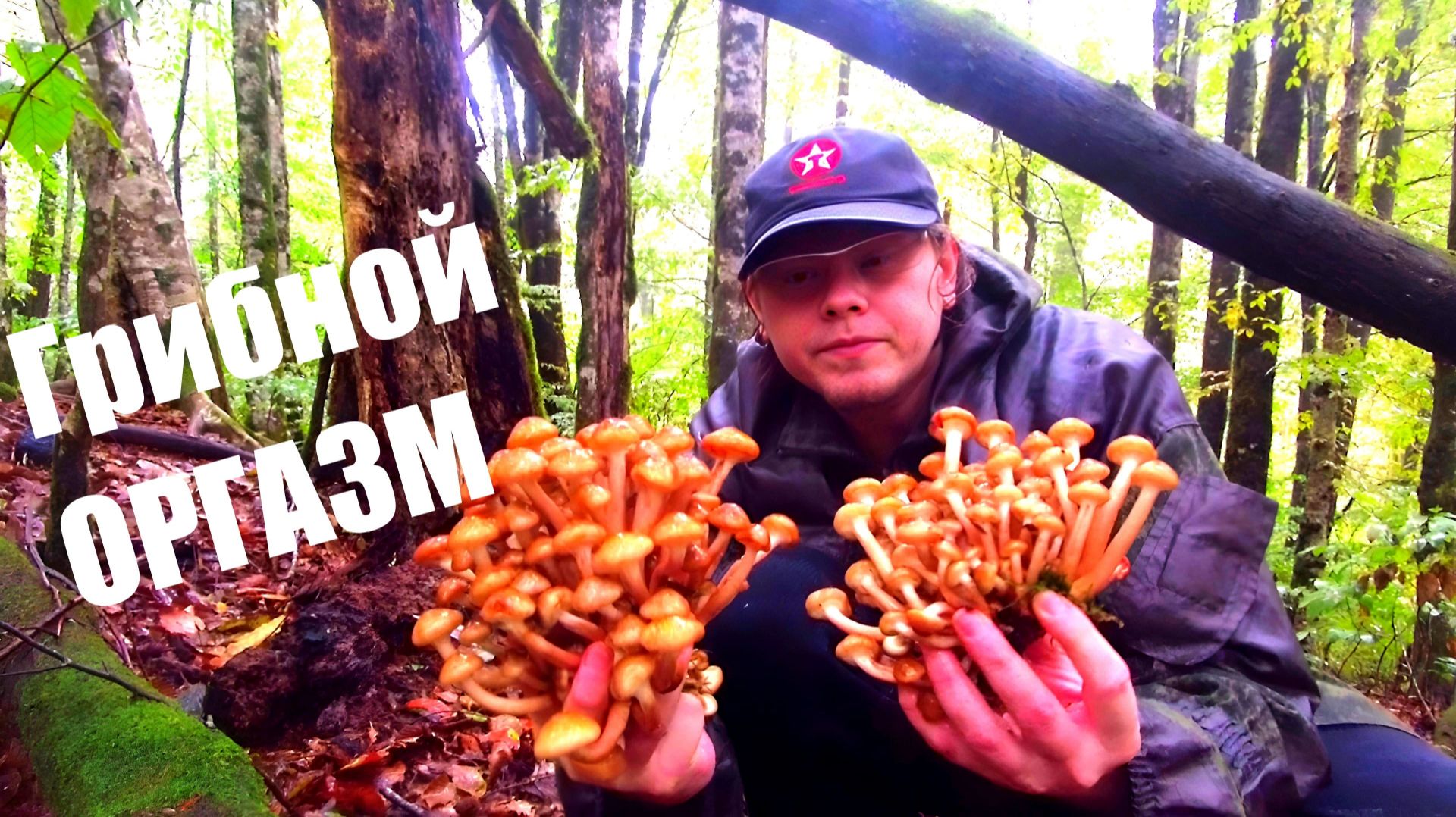 ПОИСК ГРИБОВ В ДОЖДЬ | ЖАРИМ КАРТОШКУ С ГРИБАМИ В ЛЕСУ | ТАКИЕ РАЗНЫЕ КАВКАЗСКИЕ ГРИБЫ В СОЧИ