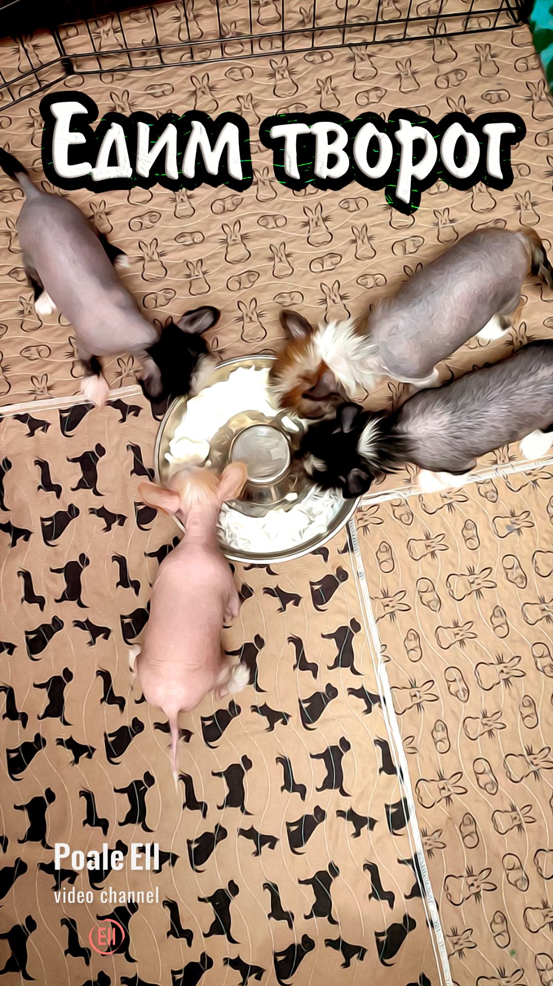 Едим на ужин свежий творог, запасаемся кальцием