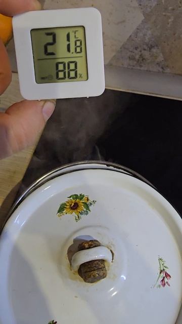 градусник  и гигрометр электронный за 100 рублей