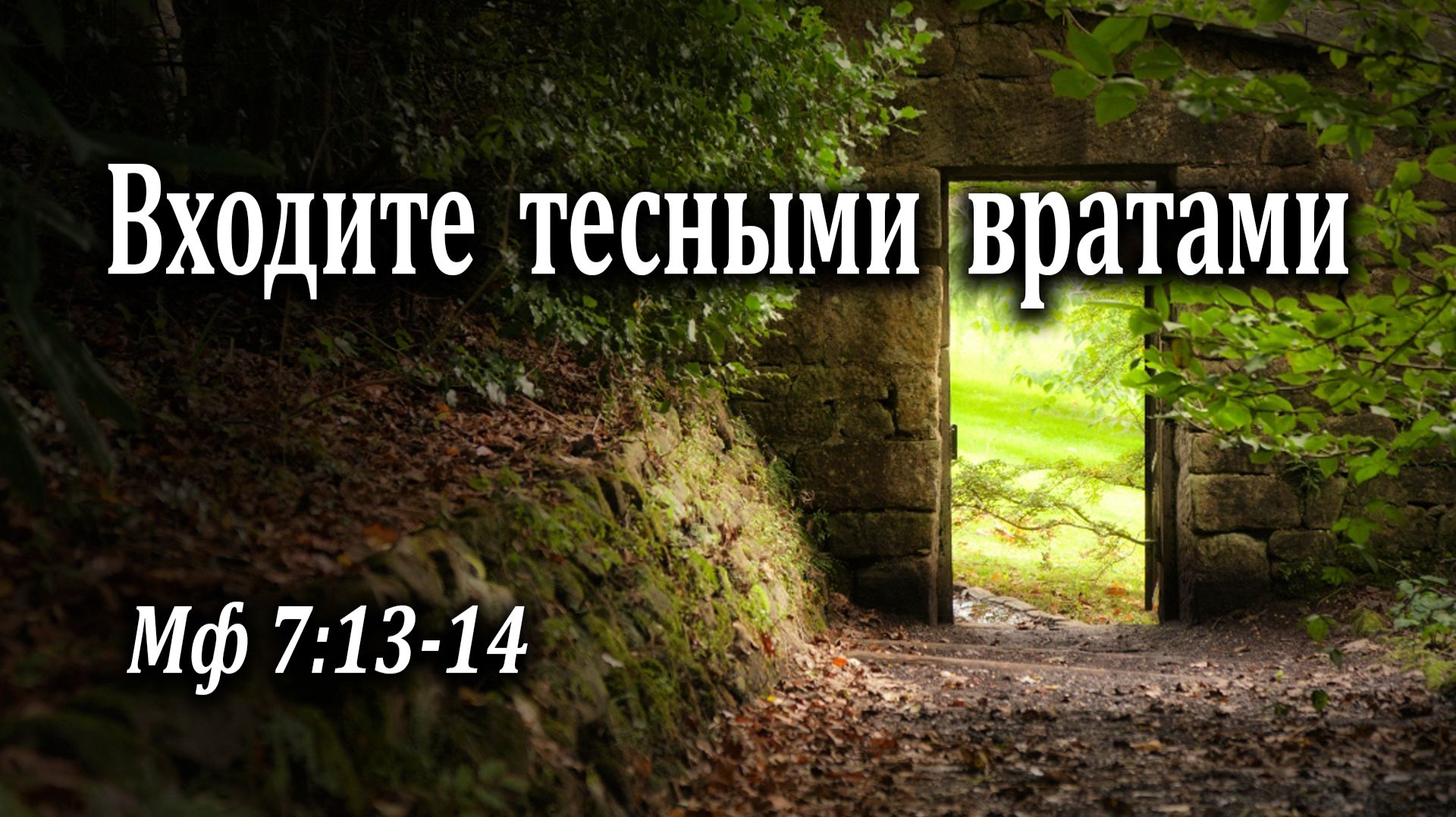 17.09.2023 "Входите тесными вратами" Мф 7:13-14 Николаишин Вадим