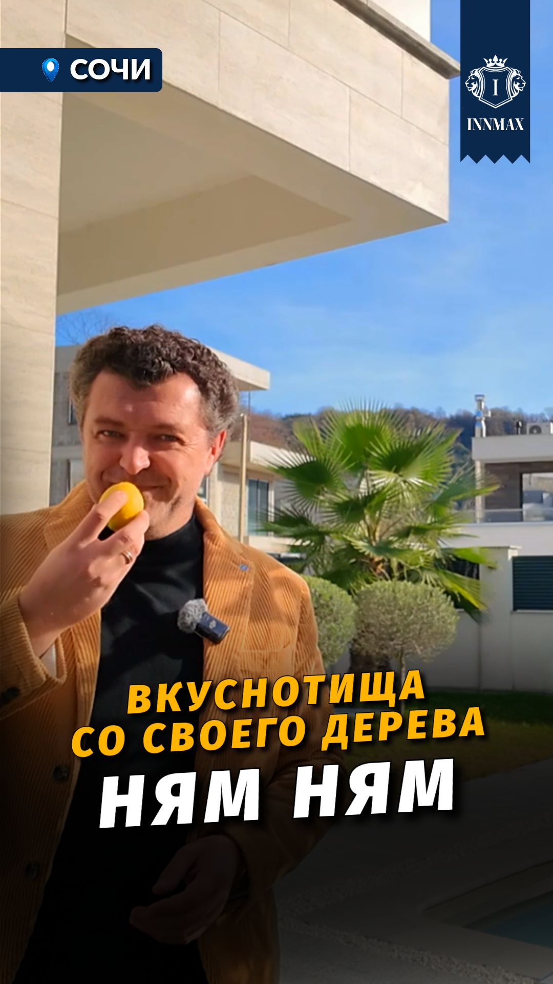 Лимоны с ветки. Прямо во дворе.  #купитьдомвсочи  #недвижимостьсочи