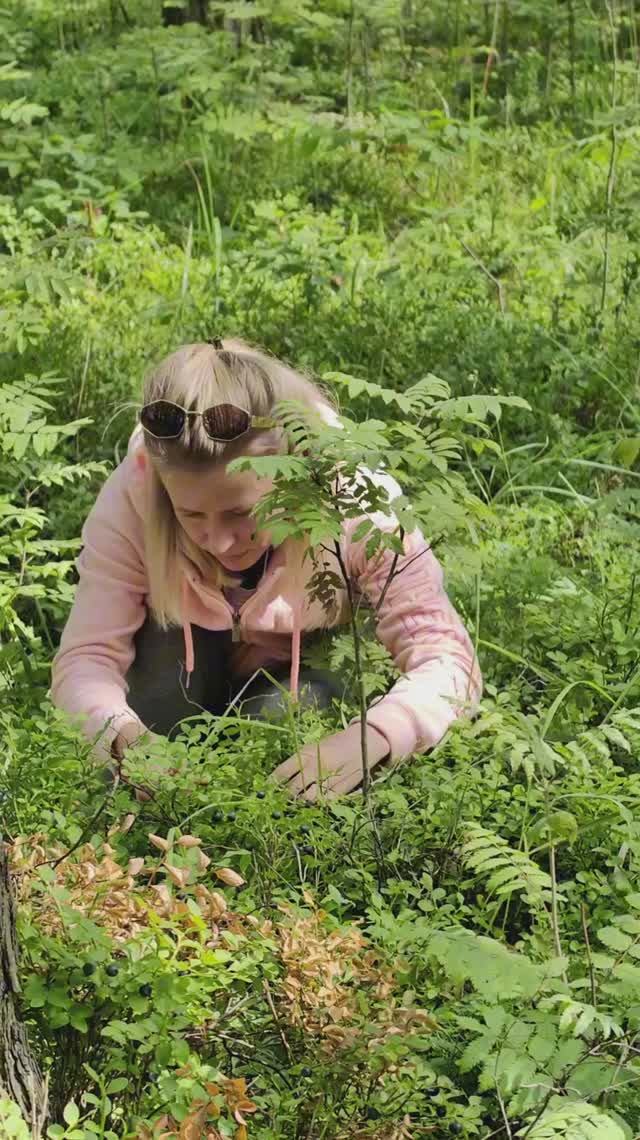 Сергей и Алиса | История двух сердец | Дачные видеозарисовки | Лес, черника и жена