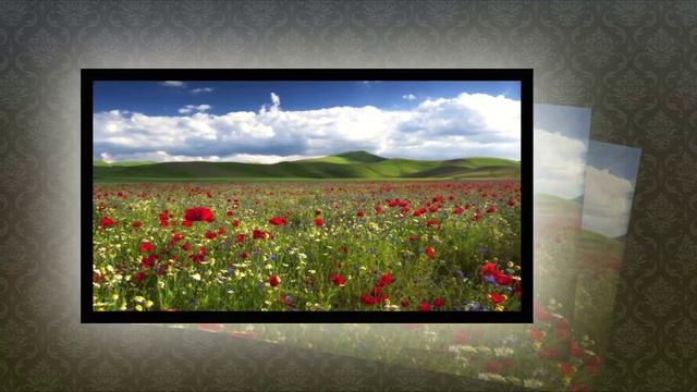 Ян Лещенко - Весна