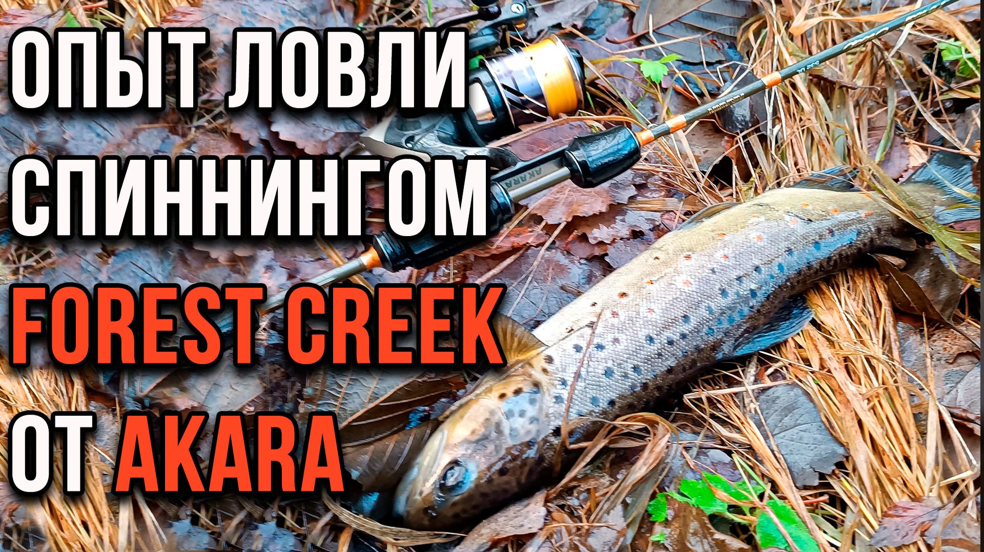 Опыт использования снастей. Акара Форест Крик, когда уместен короткий спиннинг.