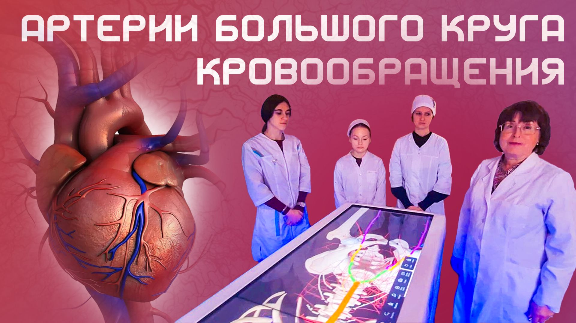 Артерии Большого Круга Кровообращения. Анатомия. Лекция