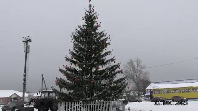 В Беково. на Площади Установили  и Нарядили Елку.