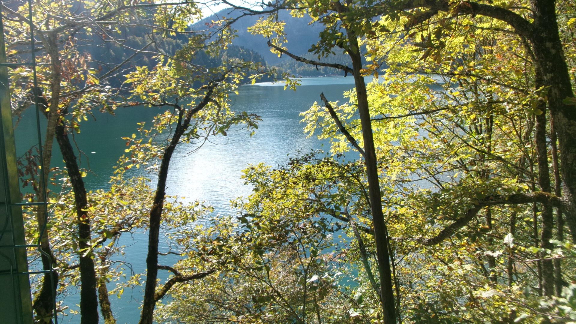 Абхазия. г.Гагра. Продолжение следует. Поездка на Озеро Рица.  Музыка Звуки природы - Пение птиц..