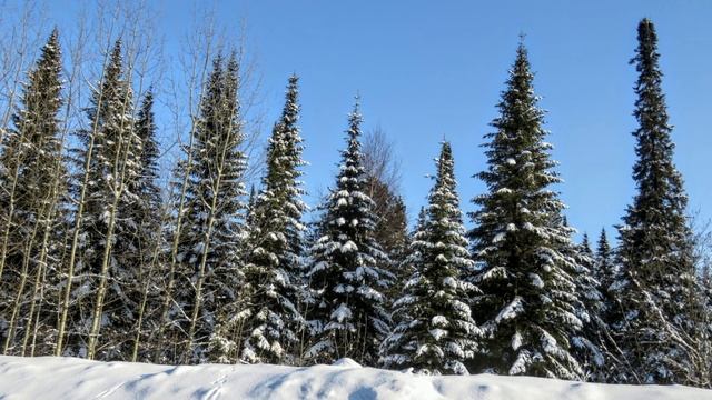 февраль 15, 2020 - г. Берёзовский, Барзас. Обогатительная. Таёжные дали