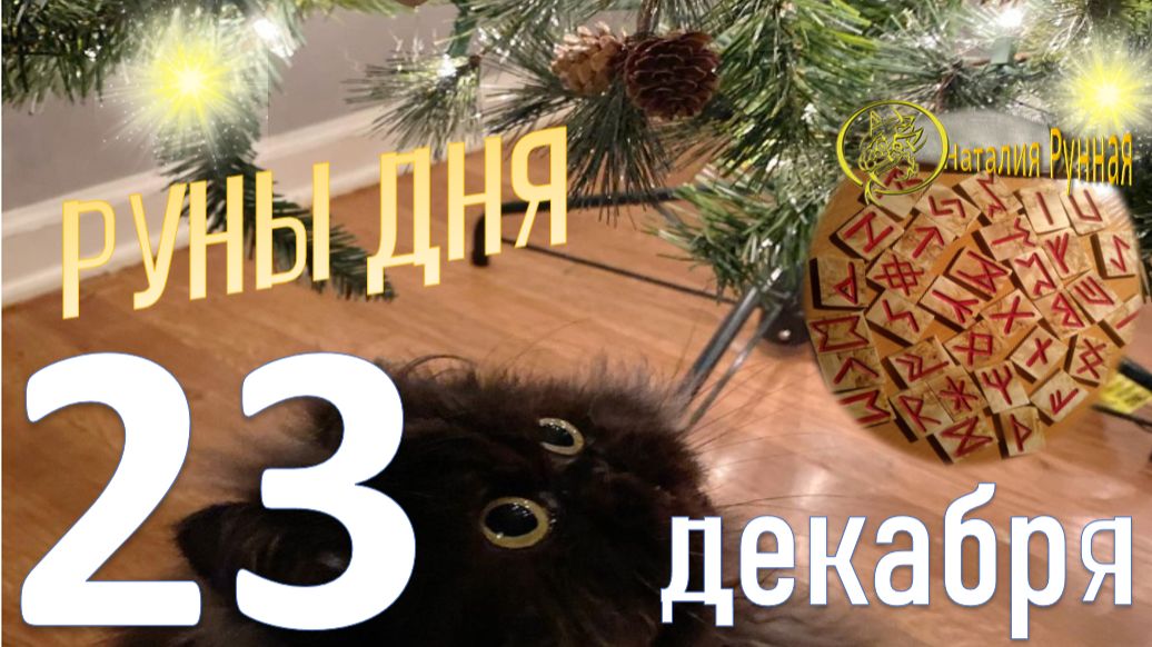 РУНА ДНЯ\прогноз на сегодня, 23 декабря 2025г от Наталии Рунной