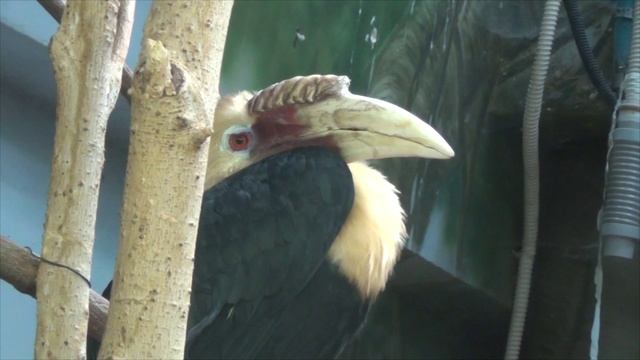 Московский зоопарк 2023 2