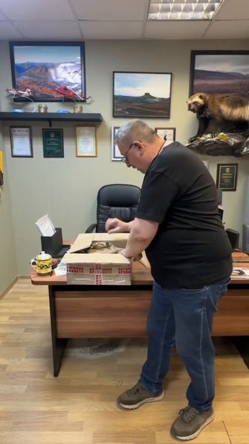 Предновогодний сюрприз!