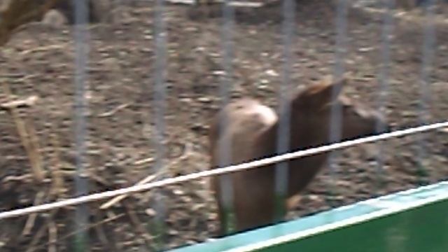 DSCN1777 Невинномысск парк Шерстяник 2019