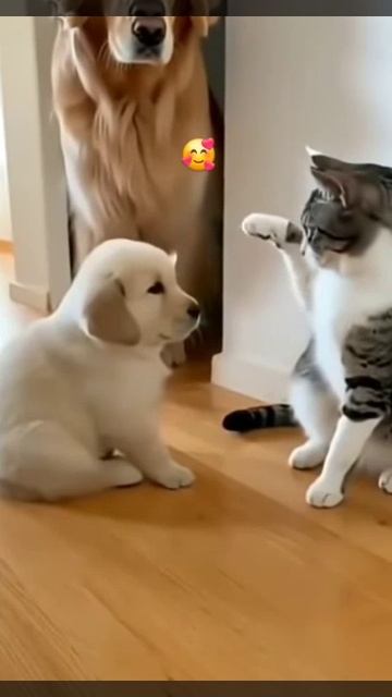 А я че я ни че