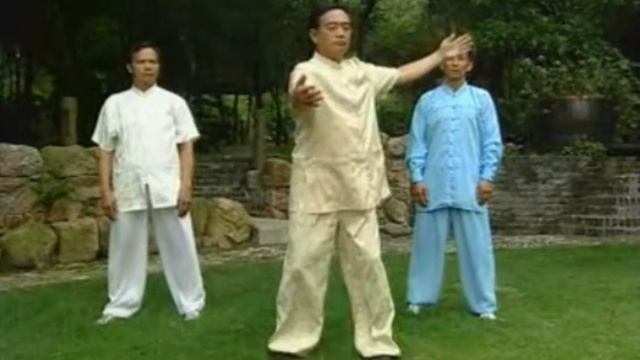 05 Дикая лошадь растрепывает гриву Ли Чжэн