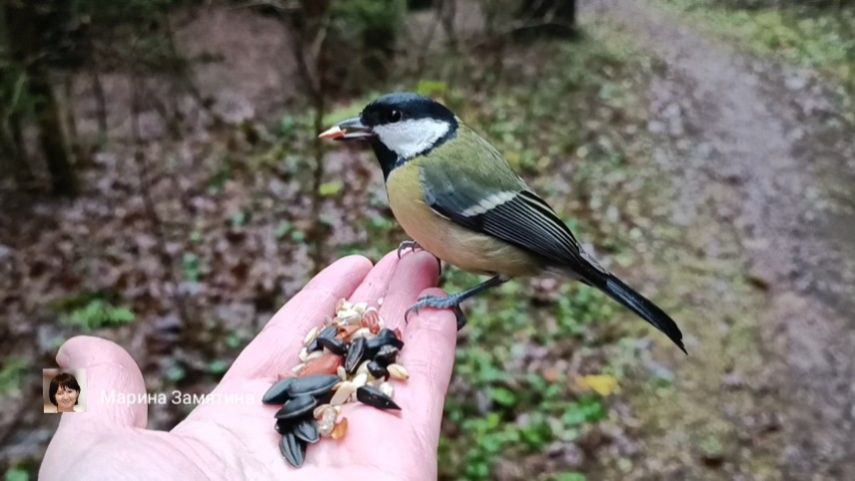 Экотерапия 66 серия.