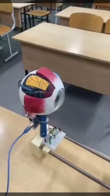 Выставка НТТ-2024. Самарина Екатерина, Синев  Сергей, 17 лет. Интерактивная модель глаза