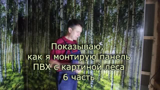 Продолжаю монтаж панелей ПВХ с рисунком: Березовая роща. Косули 6 часть