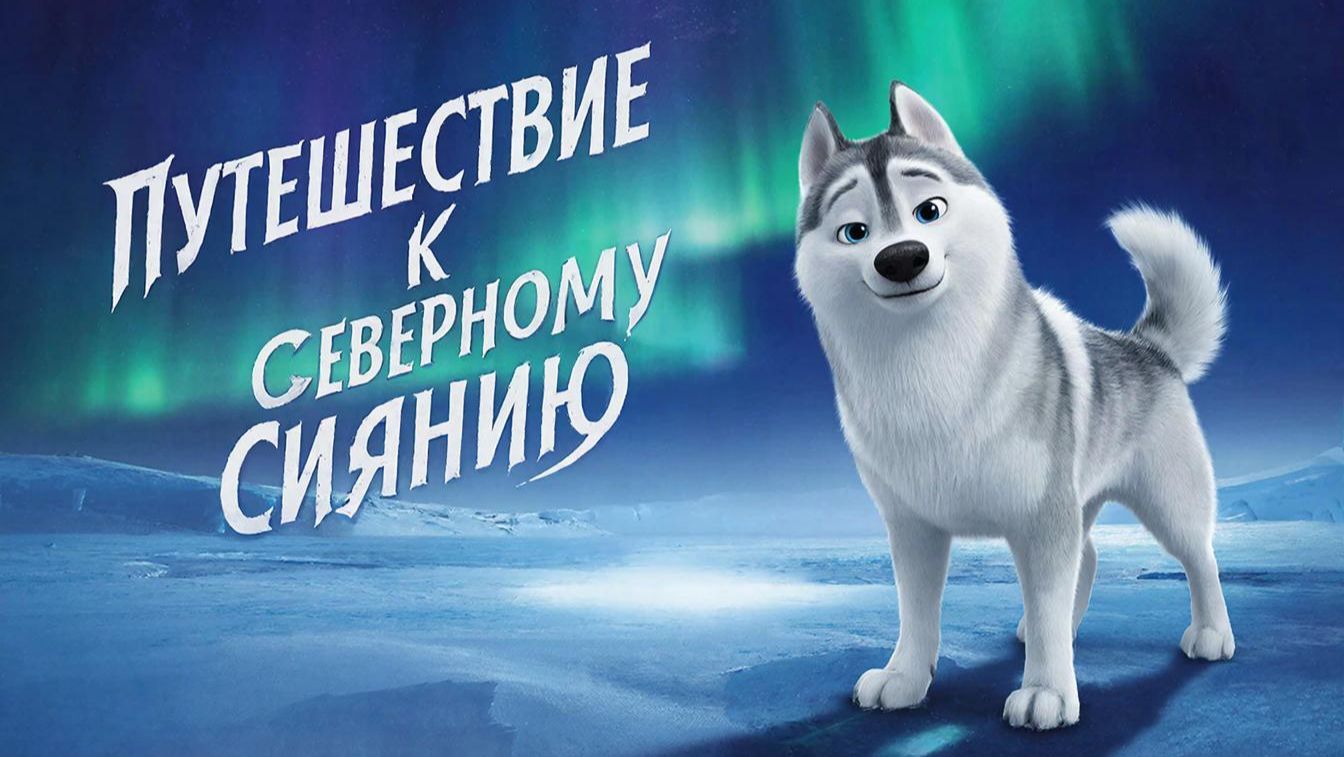 Мультфильм для детей. Путешествие Дружка к северному сиянию