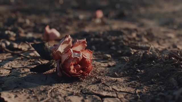 Какая же ты!