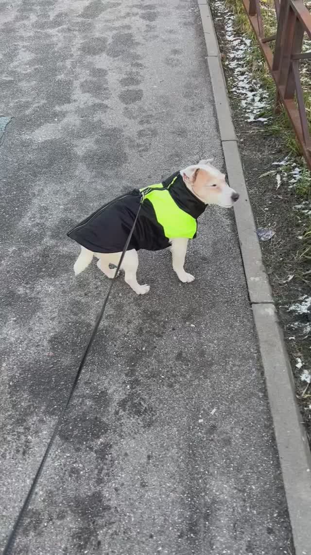 Засолили, демоны 😟