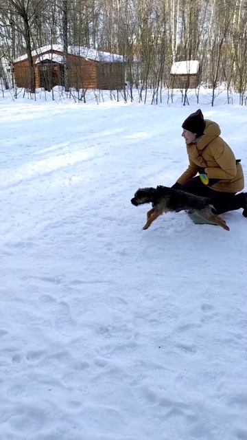 БК Грэм - барьер, вольт, вольт