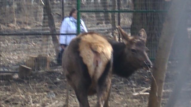 DSCN1780 Невинномысск парк Шерстяник 2019