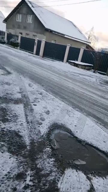 ЛЕН_ОБЛ_ПЕРЕРЫВ_3_ВЕР_А_121225_N_S0F_TREE_8