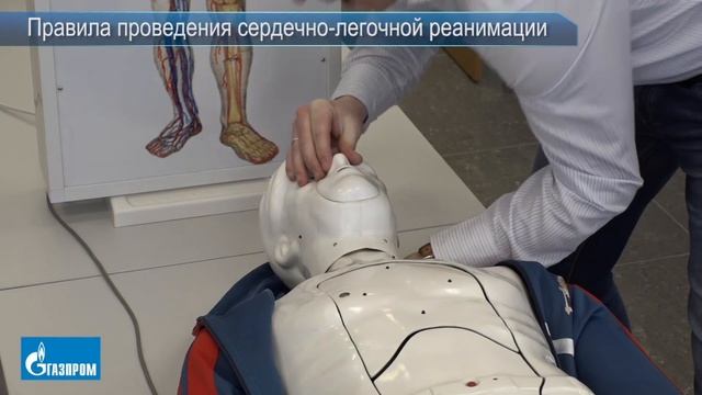 3. Правила проведения сердечно-легочной реанимации