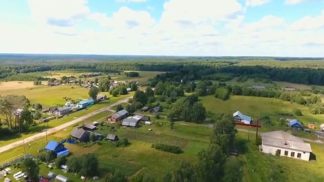 Горечь полыни