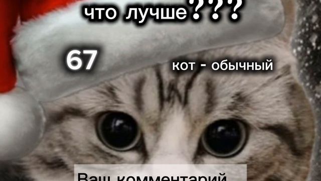 что лучше, 67??? или КОТ - ОБЫЧНЫЙ???