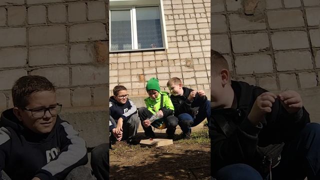 Распаковка бокса 99 ночей в лесу