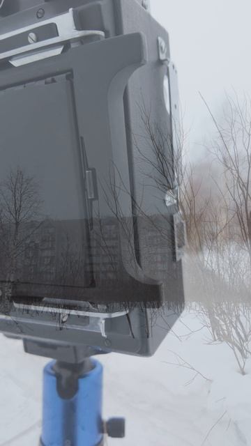 Первые тесты аналоговых снимков на graflex