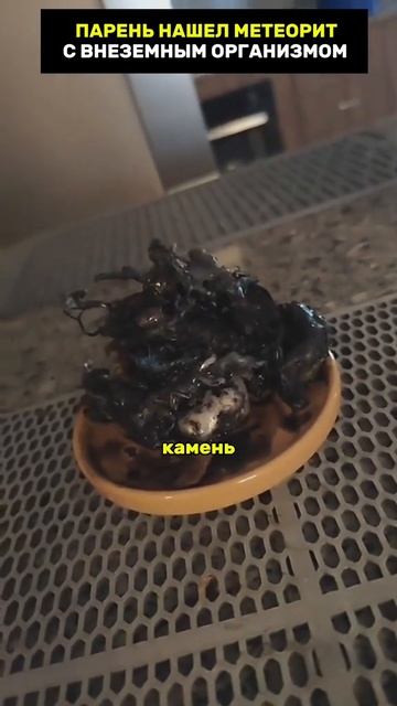 что ты такое