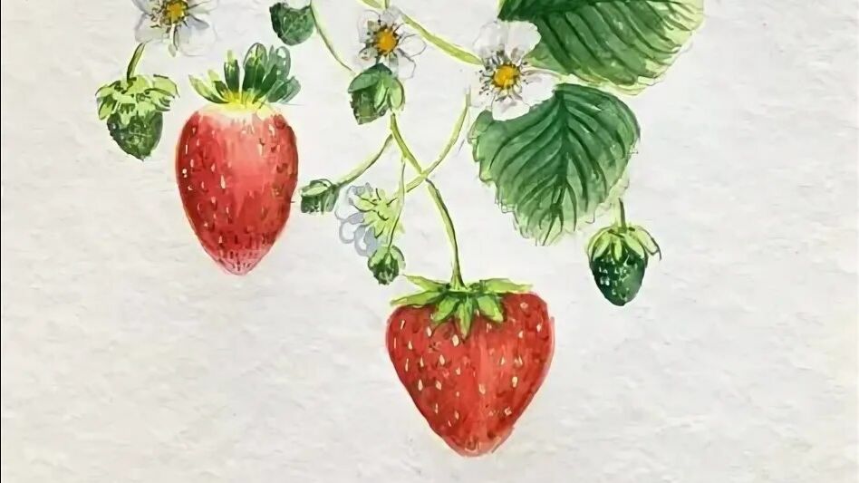 Марина Урусова. Не бери чужое-7. Две ягодки, три цветочка