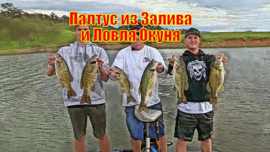 Палтус из Залива Сан - Франциско и Ловля Окуня из Озера Берриесса