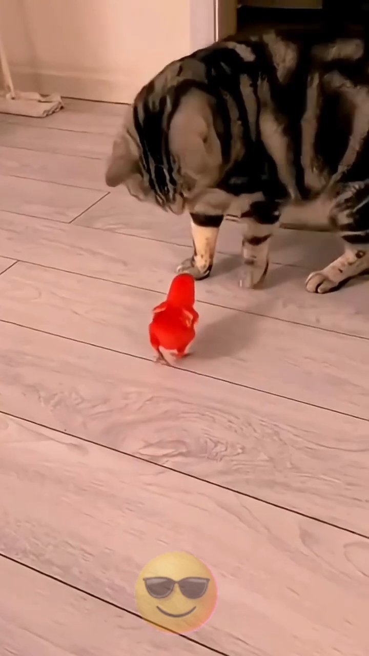 Можно Я с Тобой 🫶😼😎