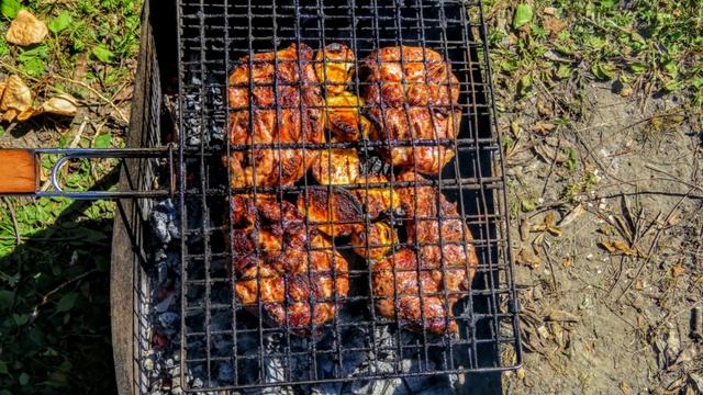 На Оби - улов, птички (16 июля, 2019 г) ч 6