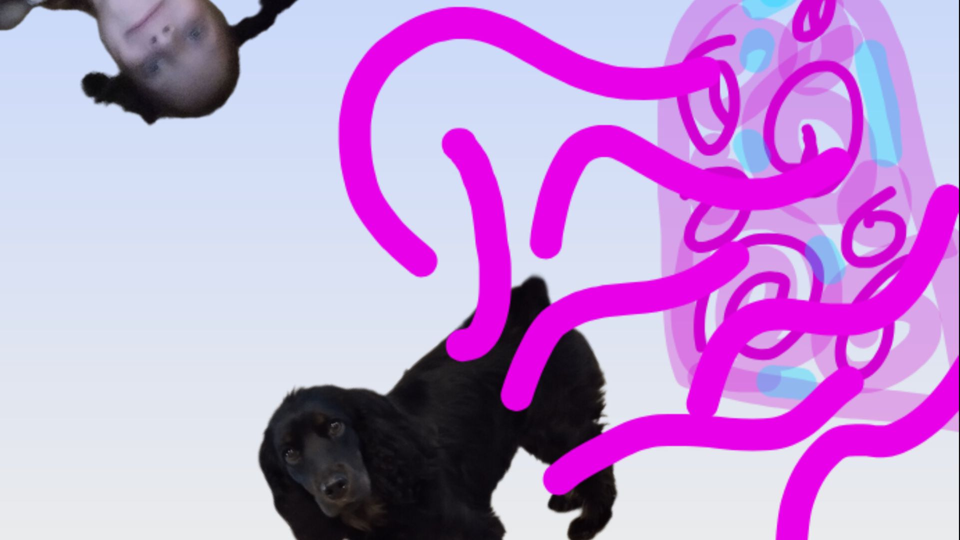 InShot_20251213_151726092