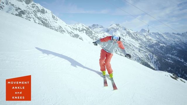 СБОРНИК ВРЕДНЫХ УПРАЖНЕНИЙ!!!