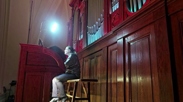 Камиль Сен-Санс `Карнавал животных` - Кукушка в глубине леса