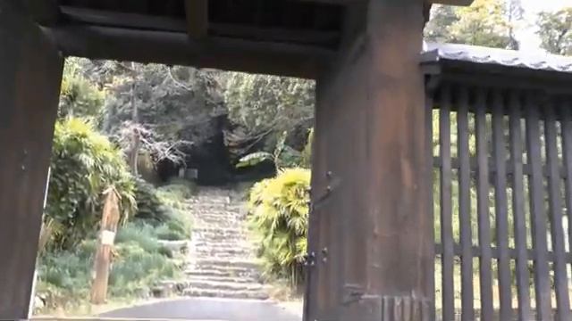 Гитарная музыка８２ @TheLonelyBand