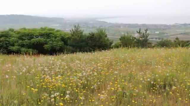 Гитарная музыка５８@TheLonelyBand