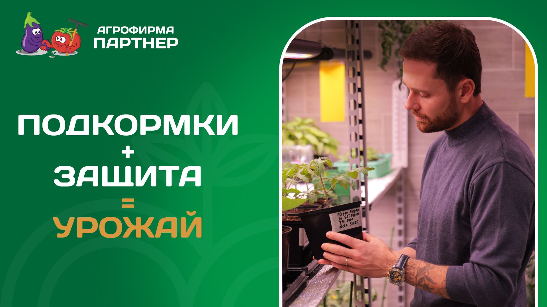 ЭТО ДОЛЖЕН ЗНАТЬ КАЖДЫЙ! Подкормки и защита в зимнем огороде!☘️