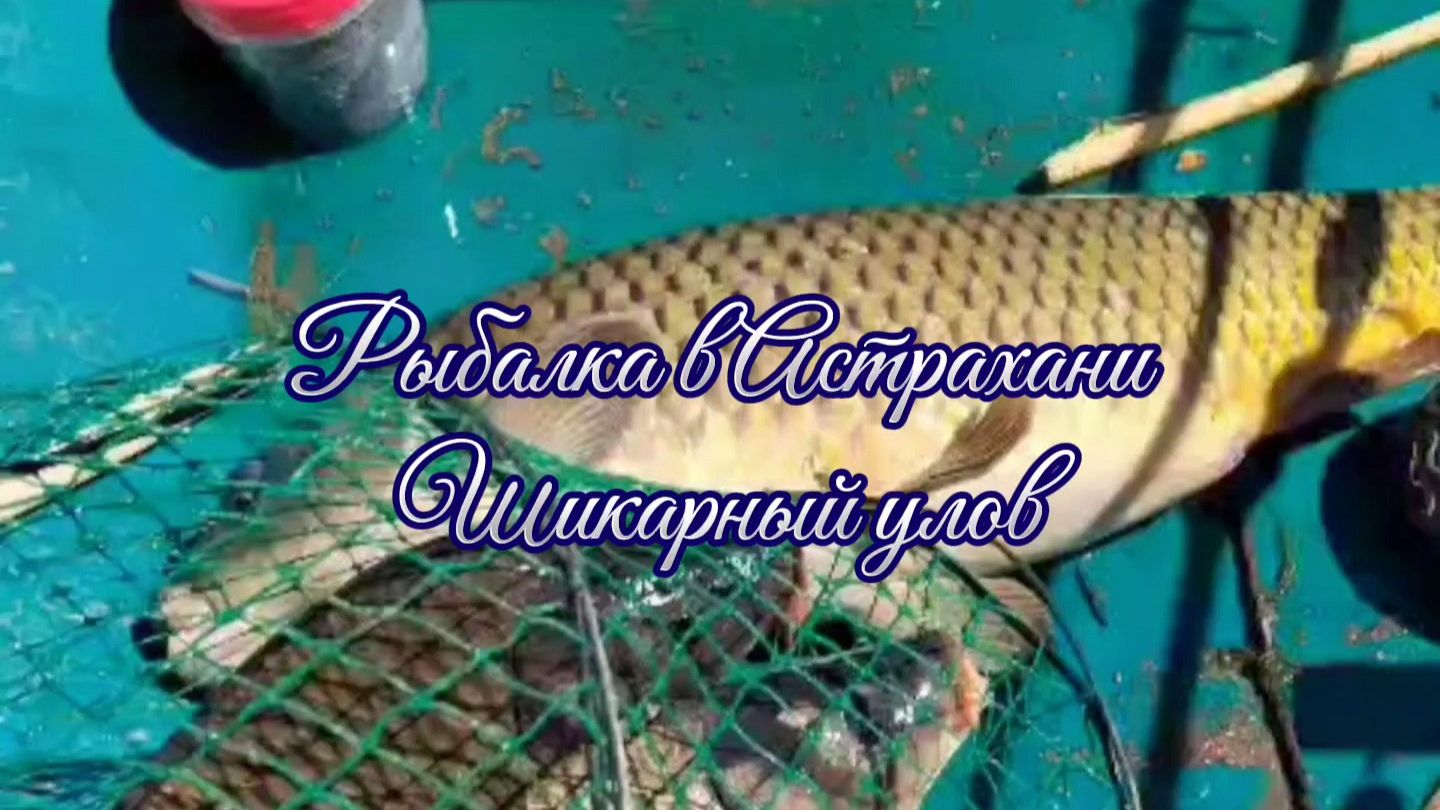 #Астрахань #рыбалка #культовая песня #лодка с мотором #большой улов рыбы