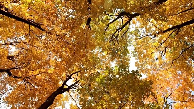 Малиновый закат