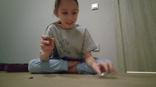 распаковка Адвент календаря с капибарами.