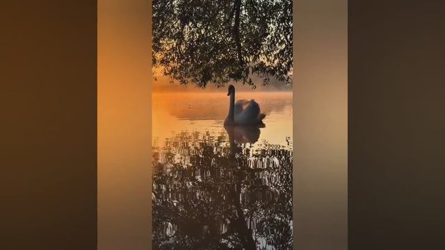 XakeR - Бога не видел никто никогда Видеомонтаж Елена Мельникова.